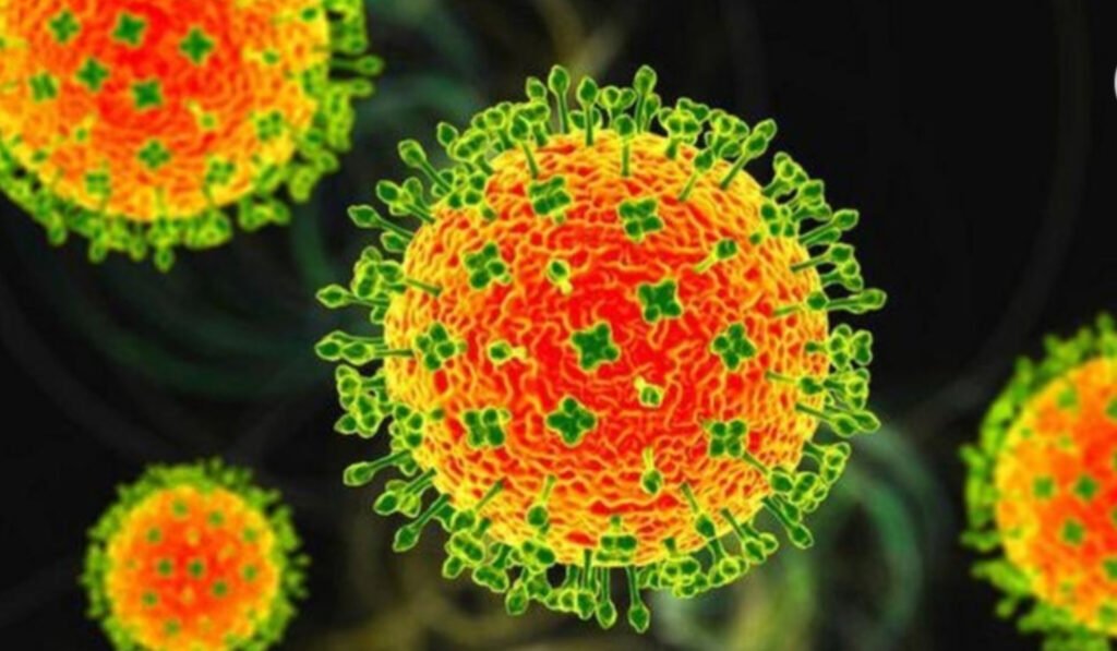 Nipah: quais são as chances de vírus mortal chegar ao Brasil ou causar ... Nipah: quais são as chances de vírus mortal chegar ao Brasil ou causar ...